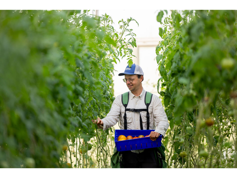 Photos: Gorman Community Farm